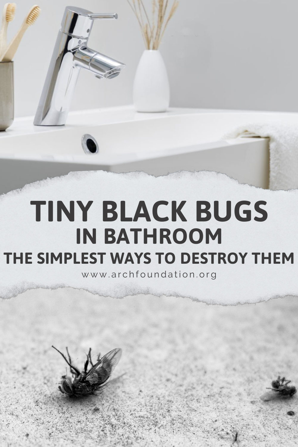 Tiny Black Bugs In Bathroom: The Simplest Ways To Destroy Them