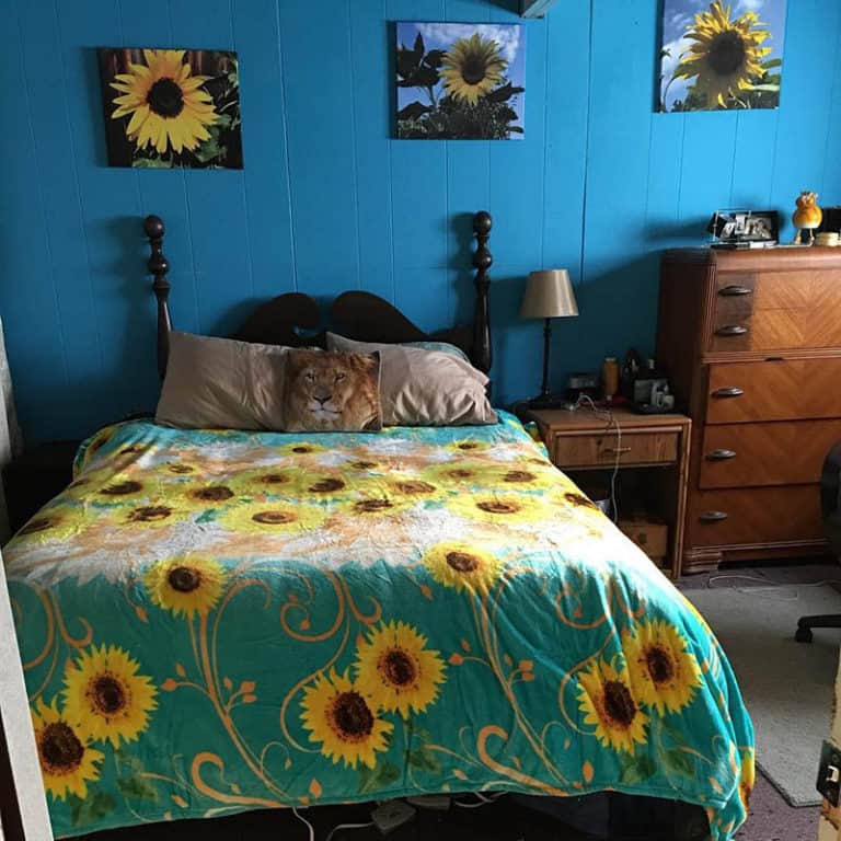 16+ Sunflower Bedroom Ideas To Energize You 2024