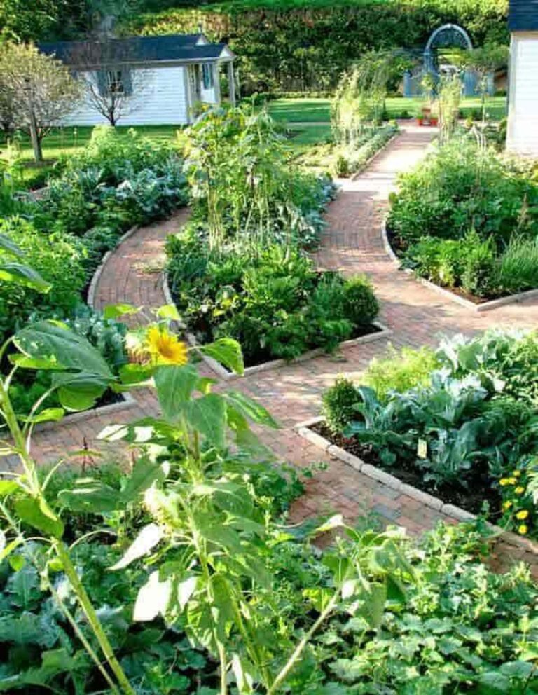 21 DIY Garden Walkway Projects to Craft