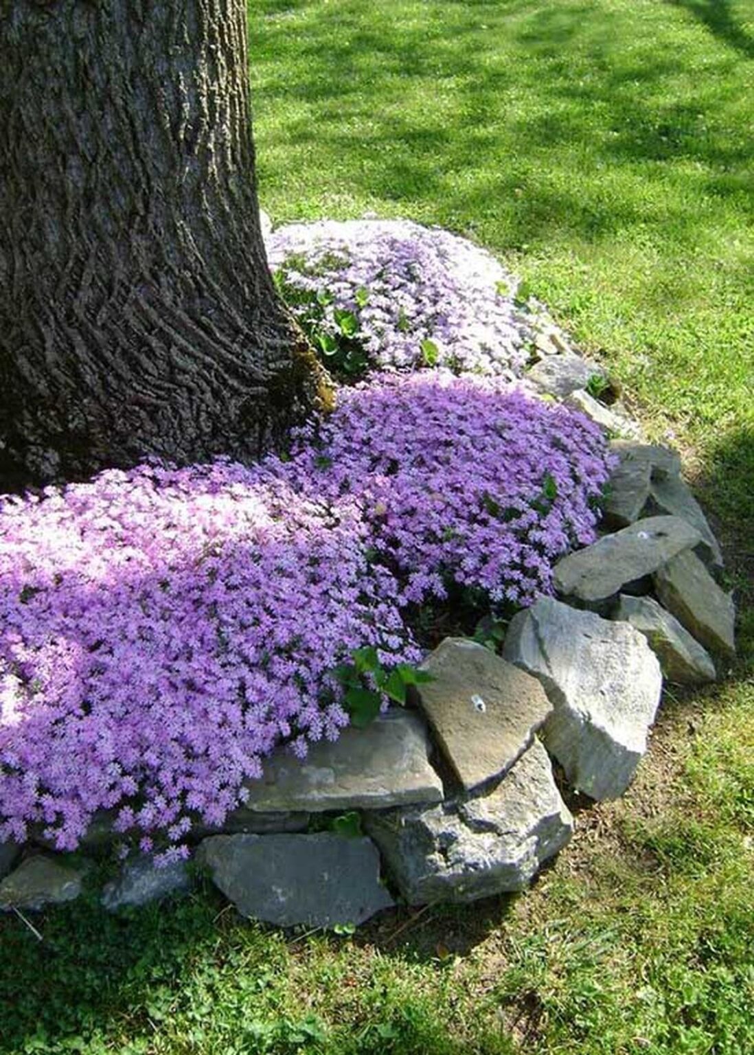 22 Charming Flower Bed Ideas to Dress Up Trees