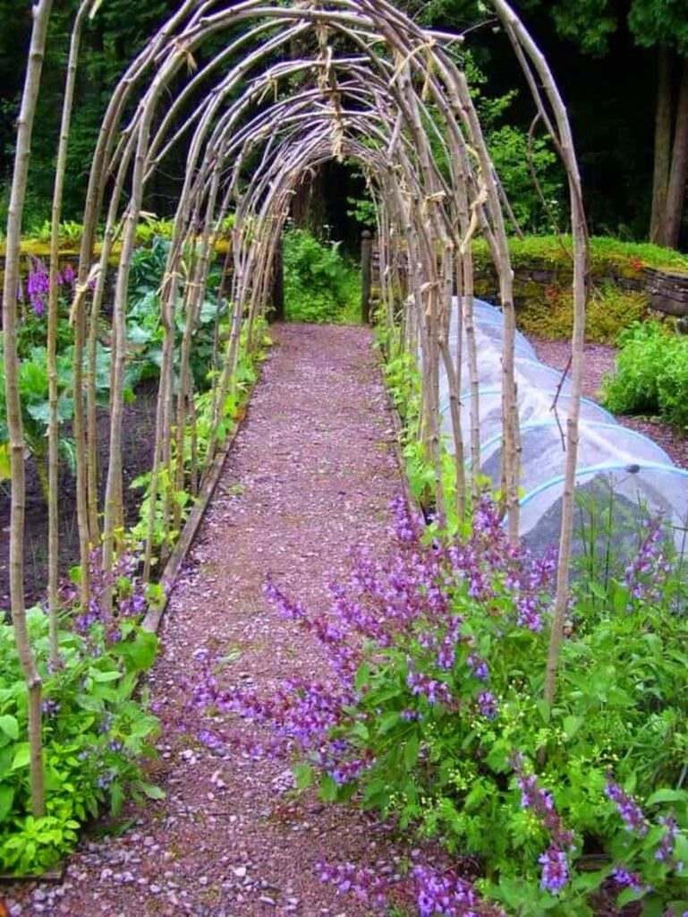 28 Easy DIY Pea Trellises for Better Harvests