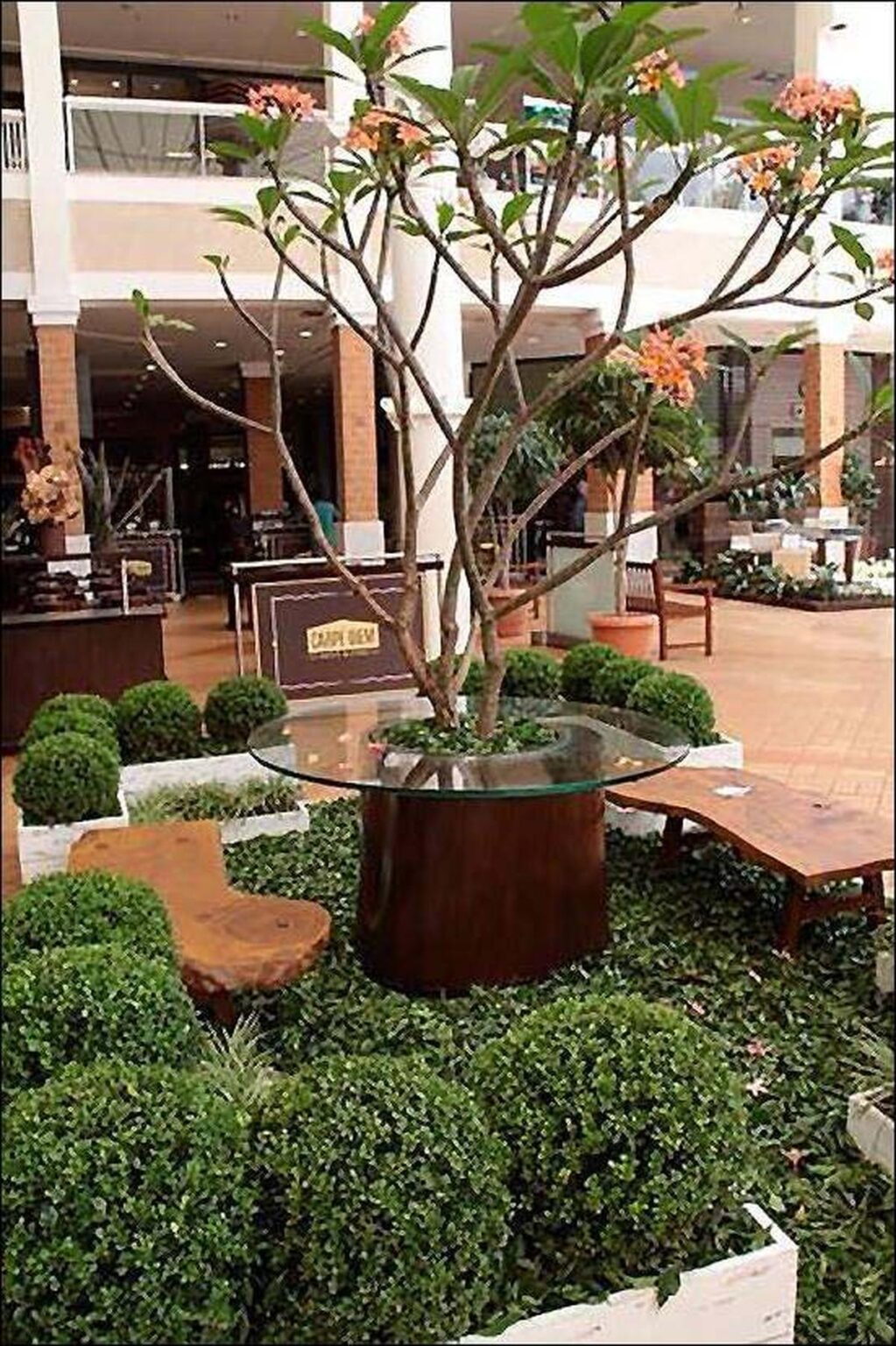 54 Beautiful Bench Around Tree Ideas to Transform Your Garden Space