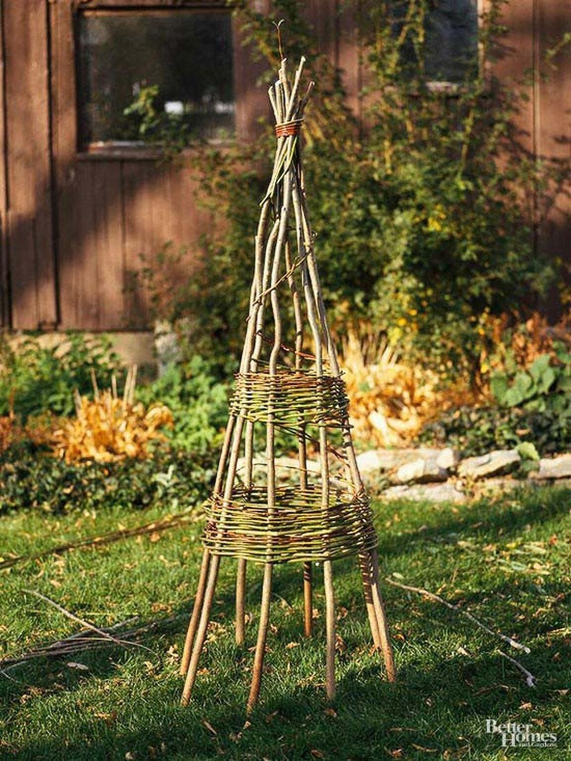 19 Best Plant Supports and Cages to Brighten Up Your Garden