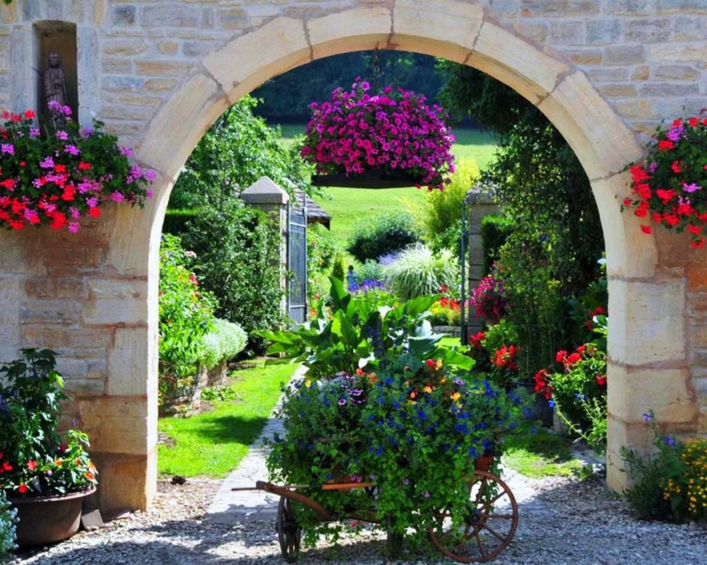 34 Inspiring Geranium Landscapes for a Flowering Garden