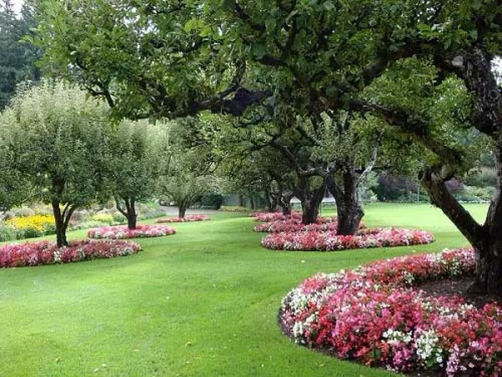 29 Stunning Tree Landscaping Ideas