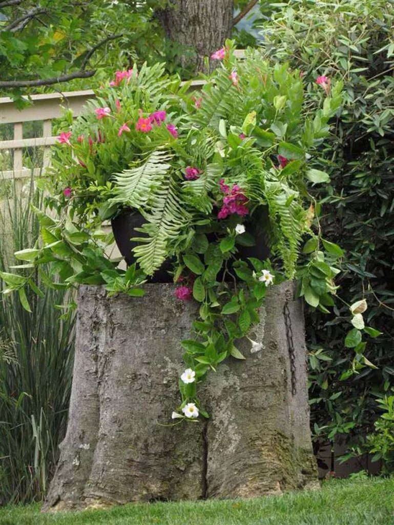 30 Creative Tree Stump Planter Ideas You’ll Love