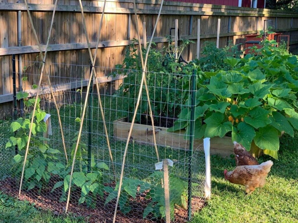 18 DIY Trellis Designs to Elevate Your Garden