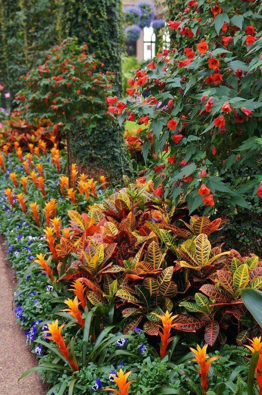 21 Dazzling Croton Landscaping Ideas for Every Garden