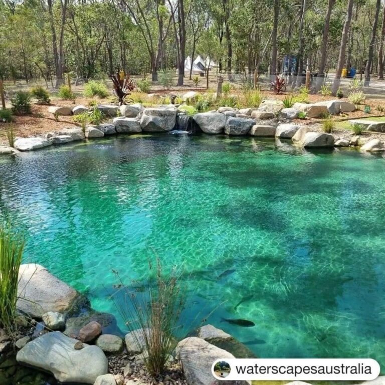 24 Stunning Natural Swimming Pond Ideas for a Relaxation Oasis