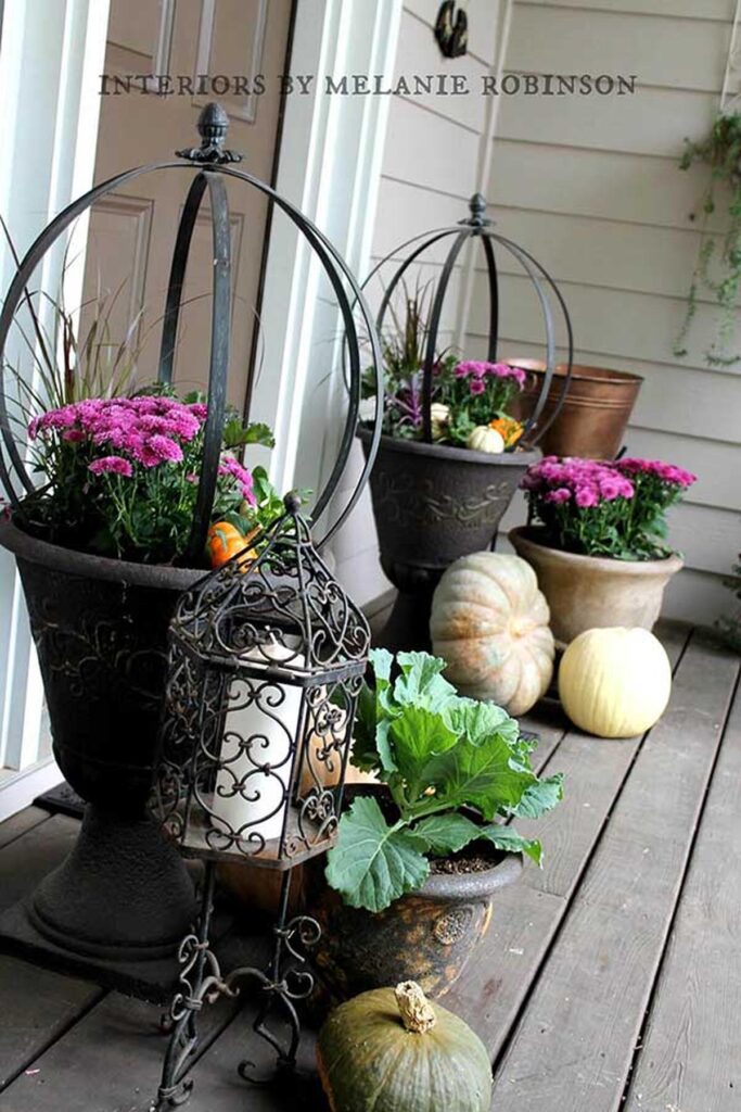 41 Creative Flower Pot Ideas for Stunning Displays