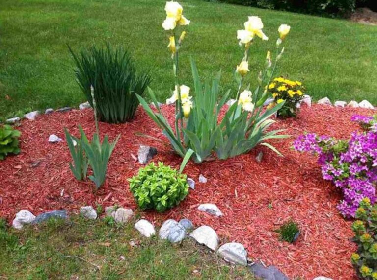 24 Creative Red Mulch Ideas to Elevate Your Garden’s Color and Texture