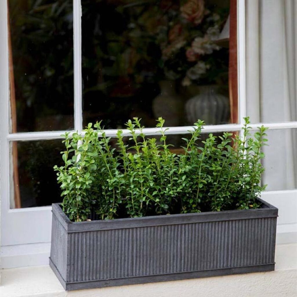25 Creative Window Box Planter Ideas for Floral Decor