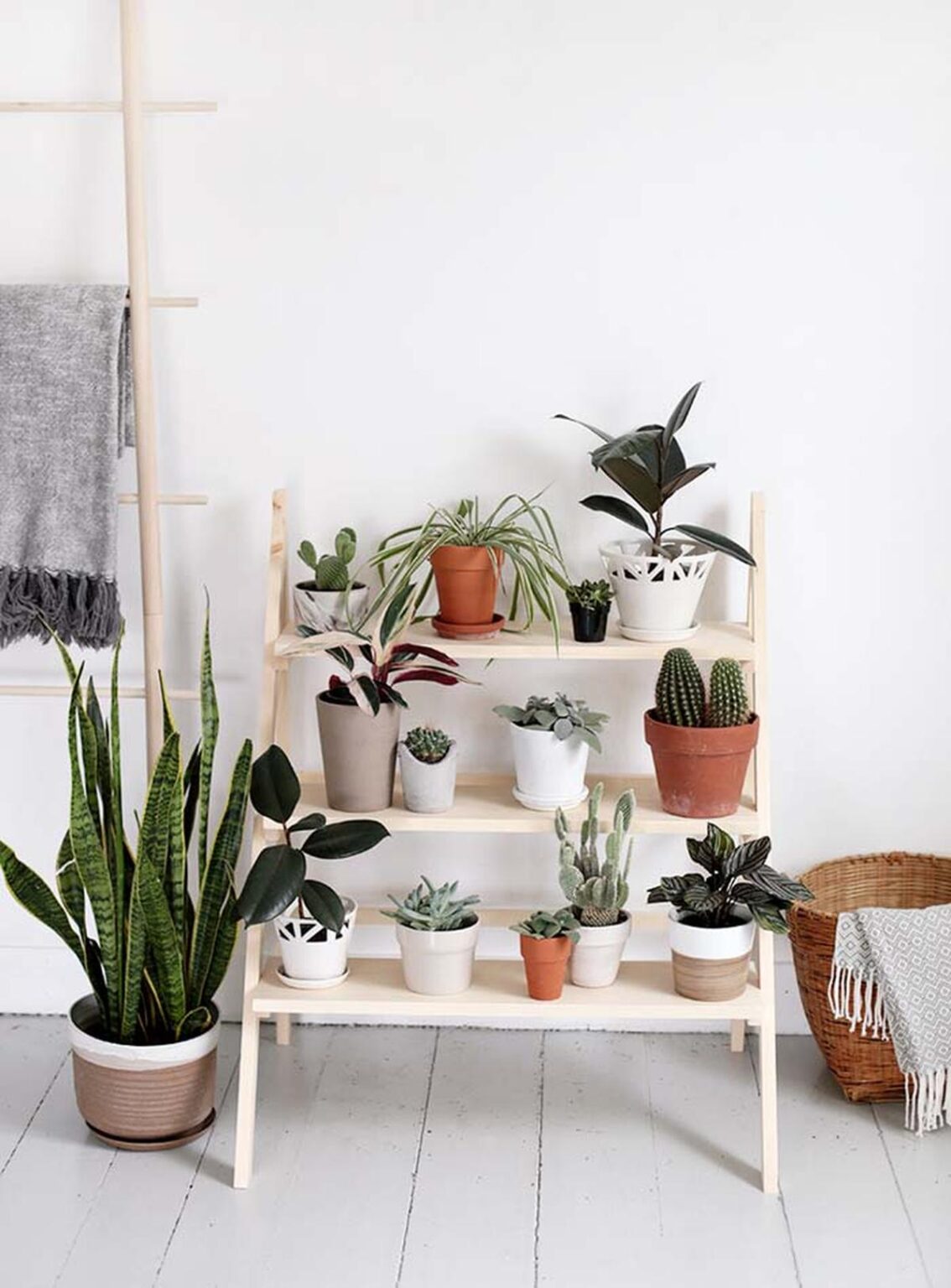 23 Creative Indoor Ladder Planters for Stylish Greenery