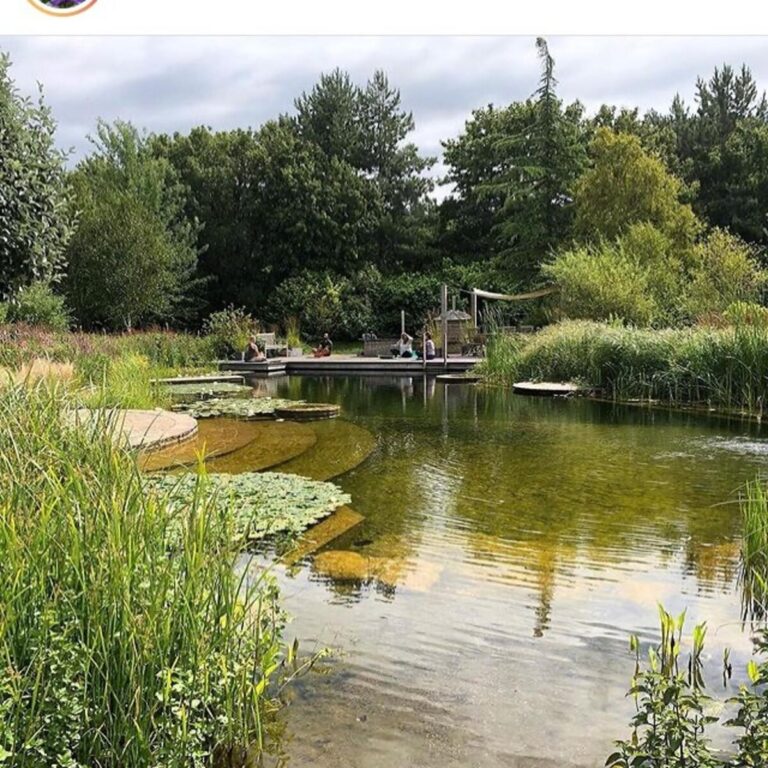 24 Stunning Natural Swimming Pond Ideas for a Relaxation Oasis