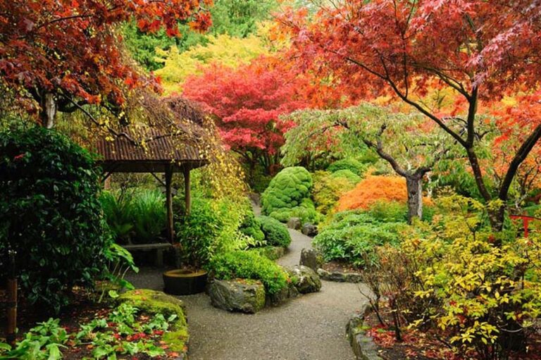 26 Fall Gardening Tips for a Vibrant Yard