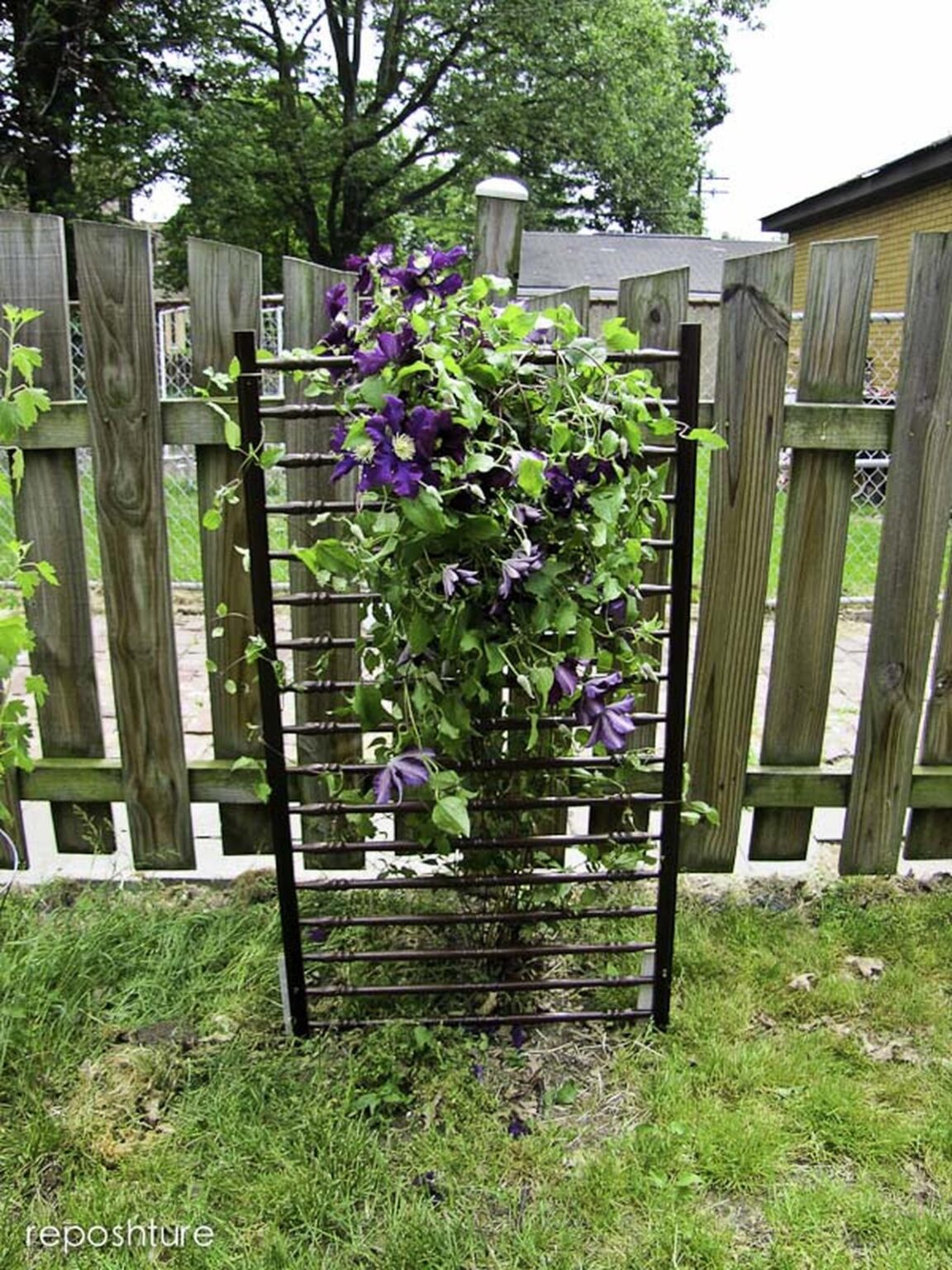 19 Best Plant Supports and Cages to Brighten Up Your Garden