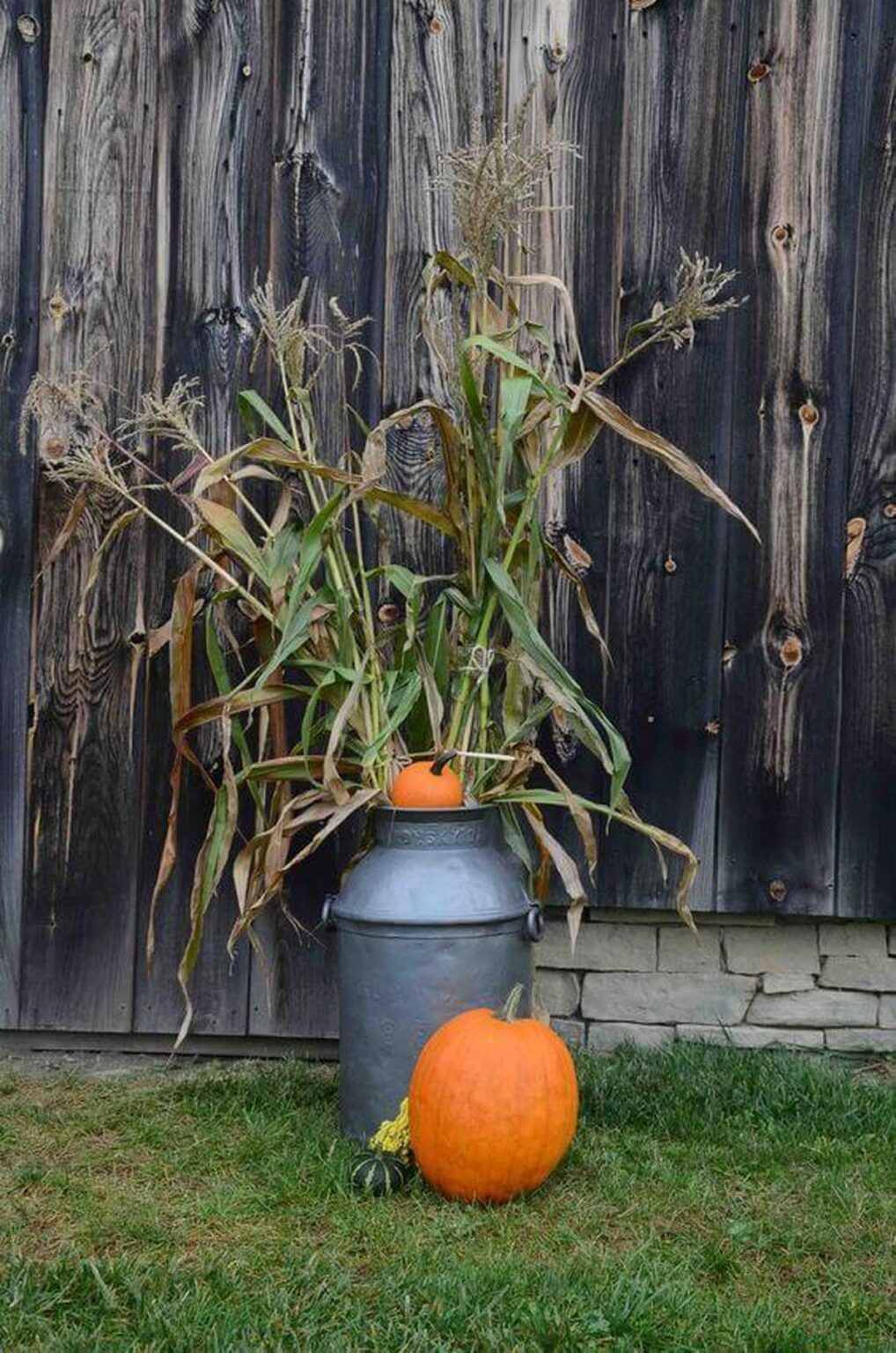 25 Fun DIY Metal Milk Jug Ideas to Try Today