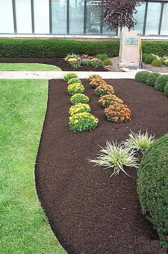 21 Beautiful Black Mulch Ideas for a Gorgeous Garden