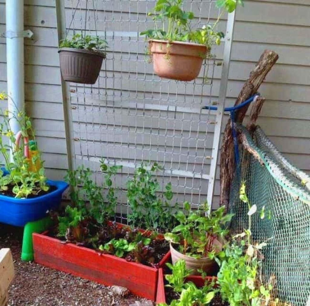 28 Easy DIY Pea Trellises for Better Harvests
