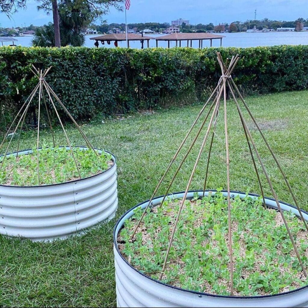 18 DIY Trellis Designs to Elevate Your Garden