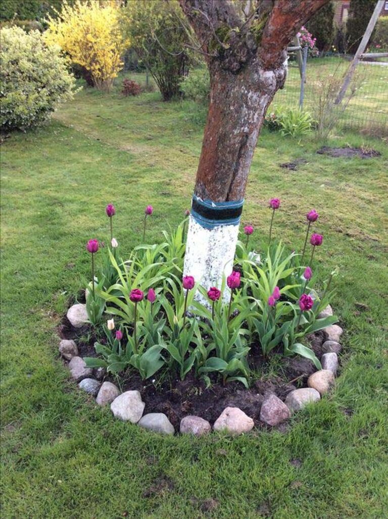18 Best Tree Edging Ideas for a Lovely Garden