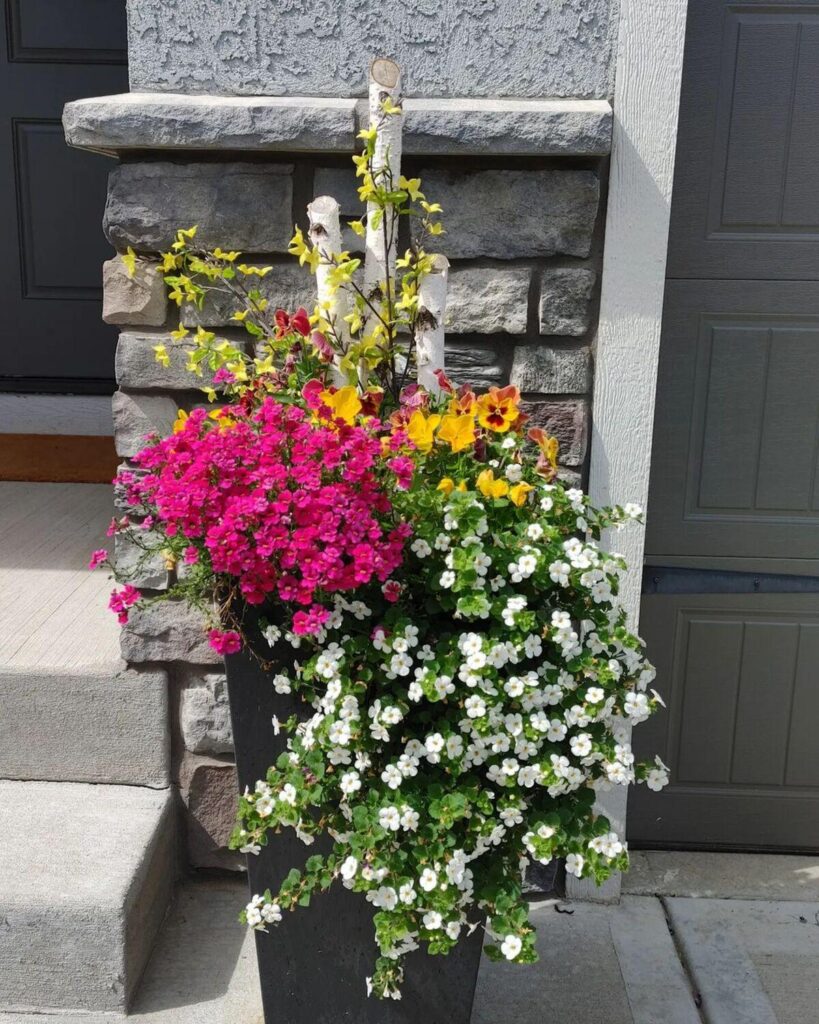 24 Beautiful Spring Planter Ideas for Garden Charm