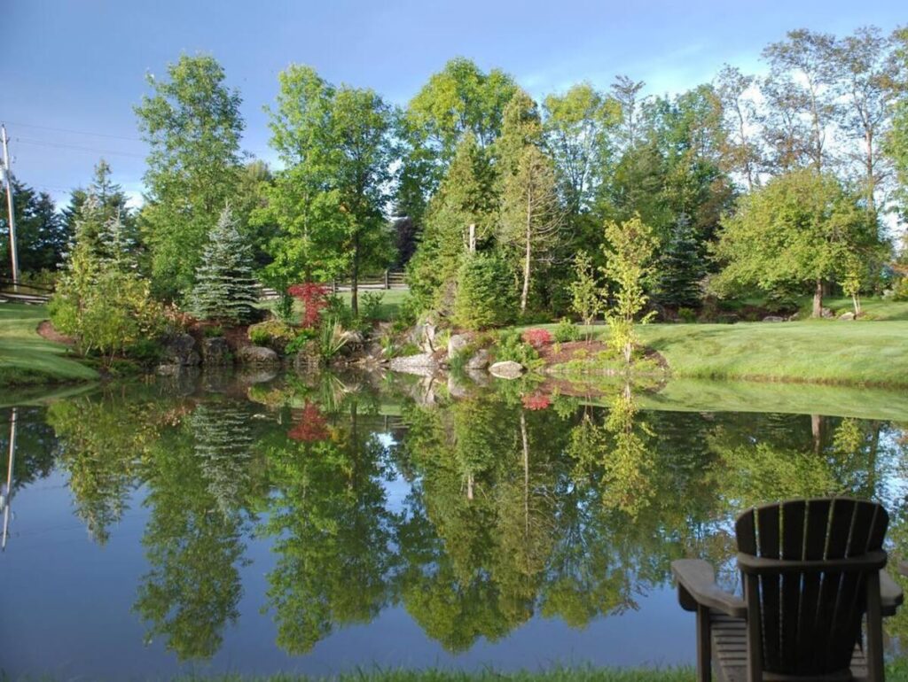 24 Stunning Natural Swimming Pond Ideas for a Relaxation Oasis