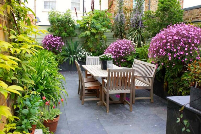 34 Inspiring Geranium Landscapes for a Flowering Garden