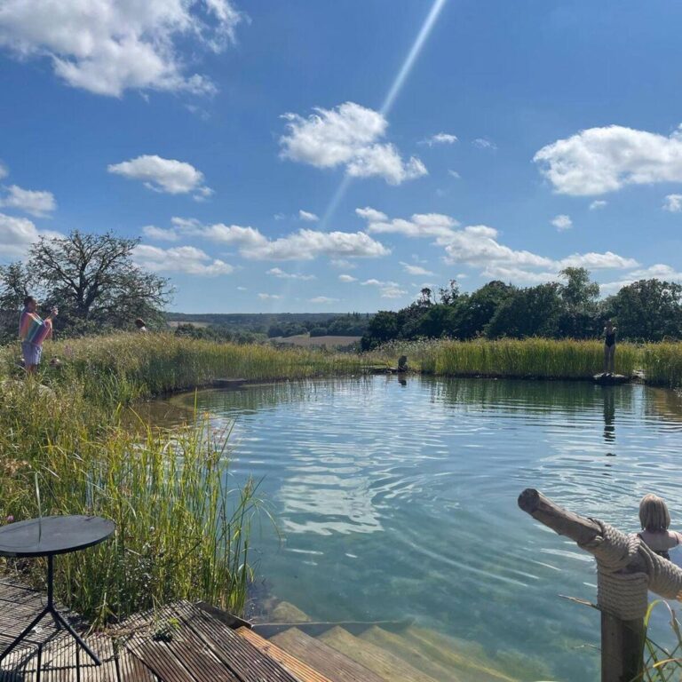 24 Stunning Natural Swimming Pond Ideas for a Relaxation Oasis