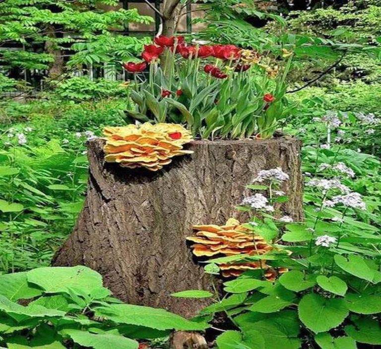 30 Creative Tree Stump Planter Ideas You’ll Love