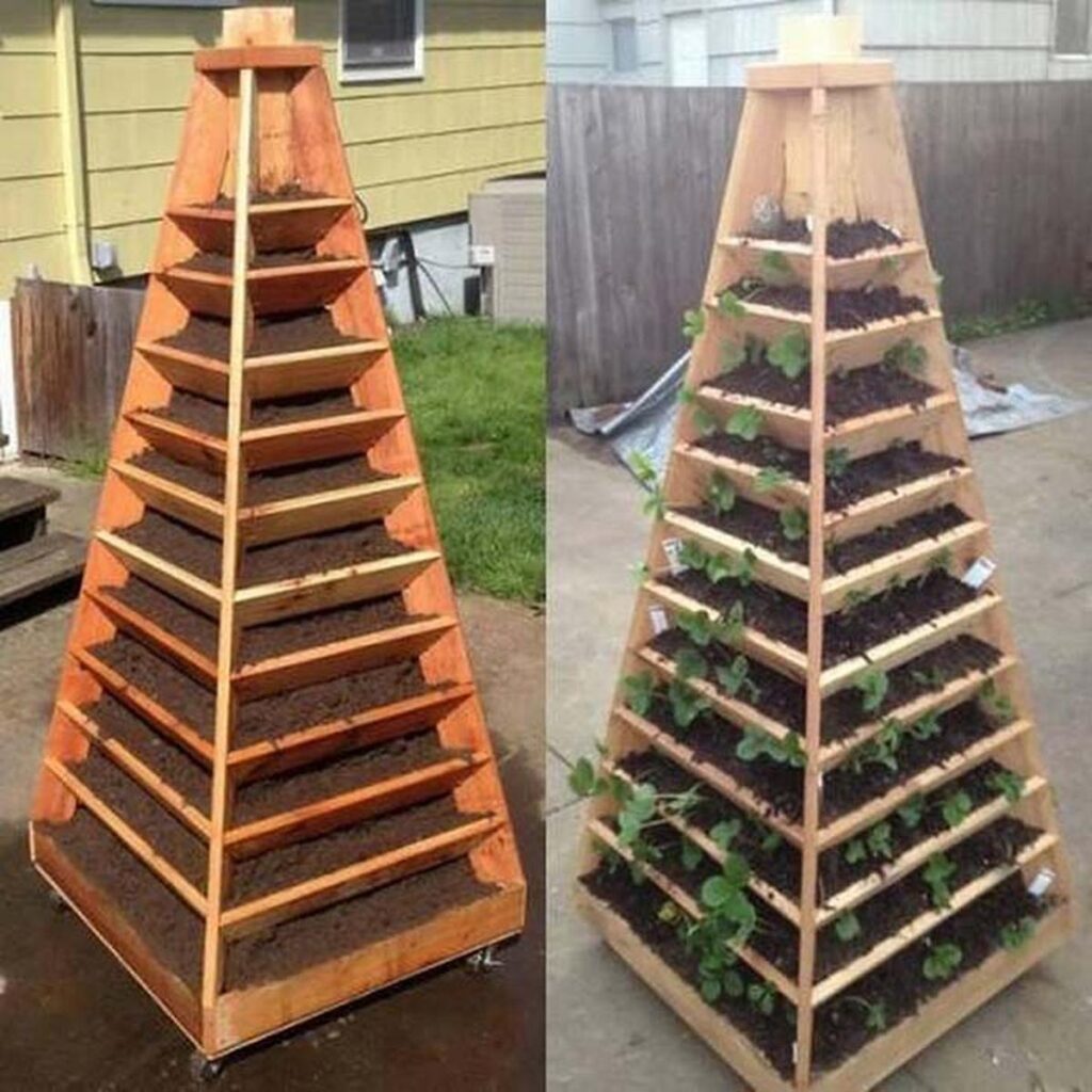 20 Simple Strategies to Grow the Perfect Vegetable Garden