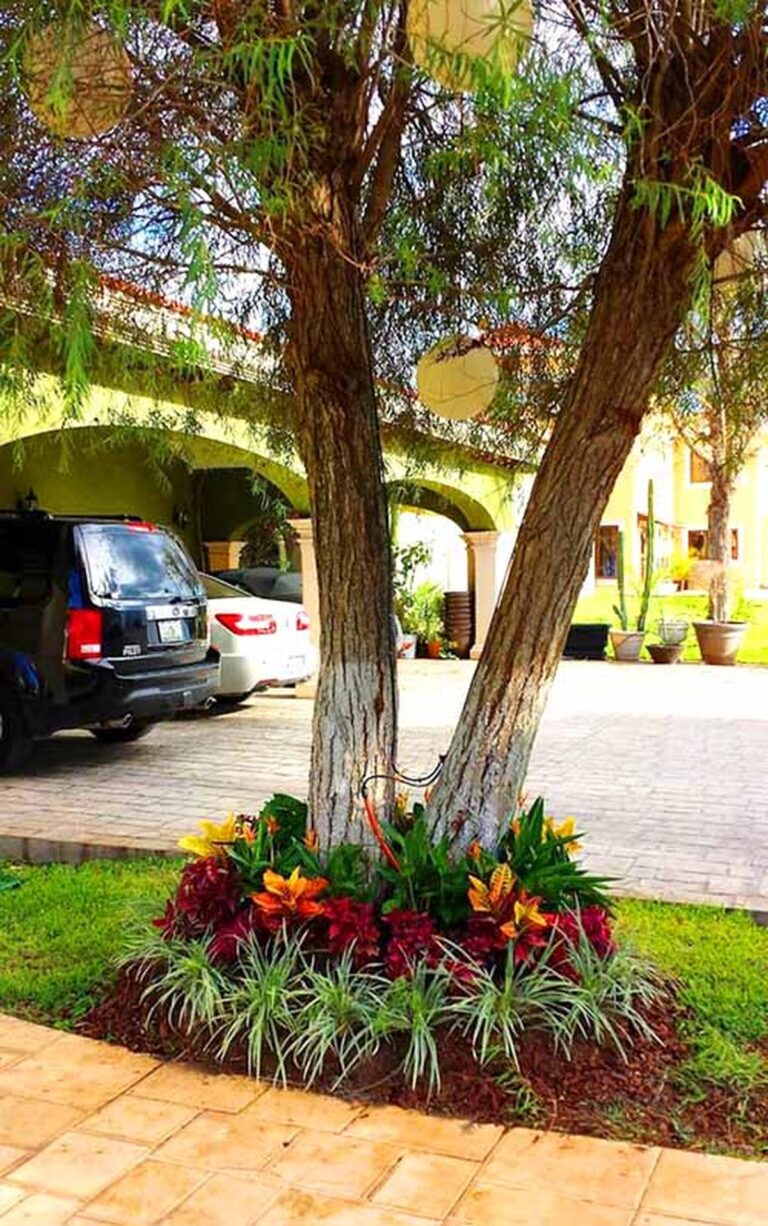 22 Charming Flower Bed Ideas to Dress Up Trees