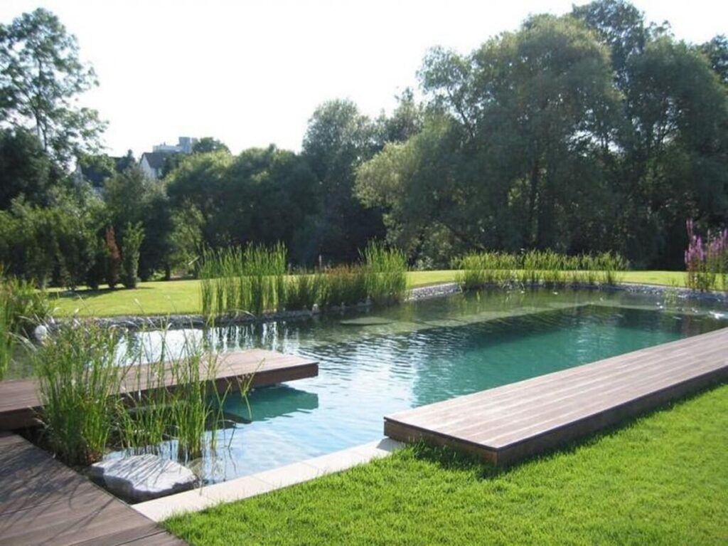 24 Stunning Natural Swimming Pond Ideas for a Relaxation Oasis