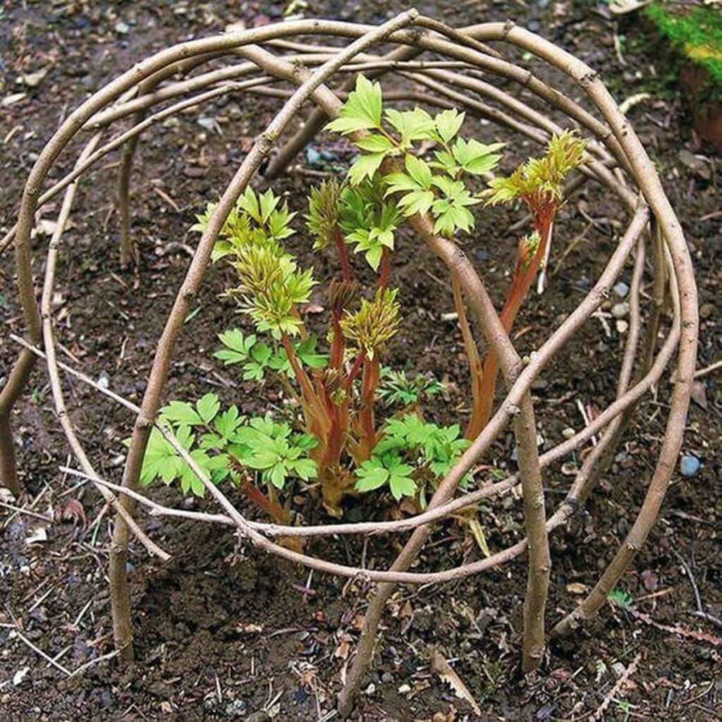 22 Best Twig Garden Projects for a Budget-Friendly Yard