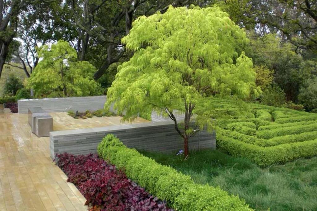 29 Stunning Tree Landscaping Ideas