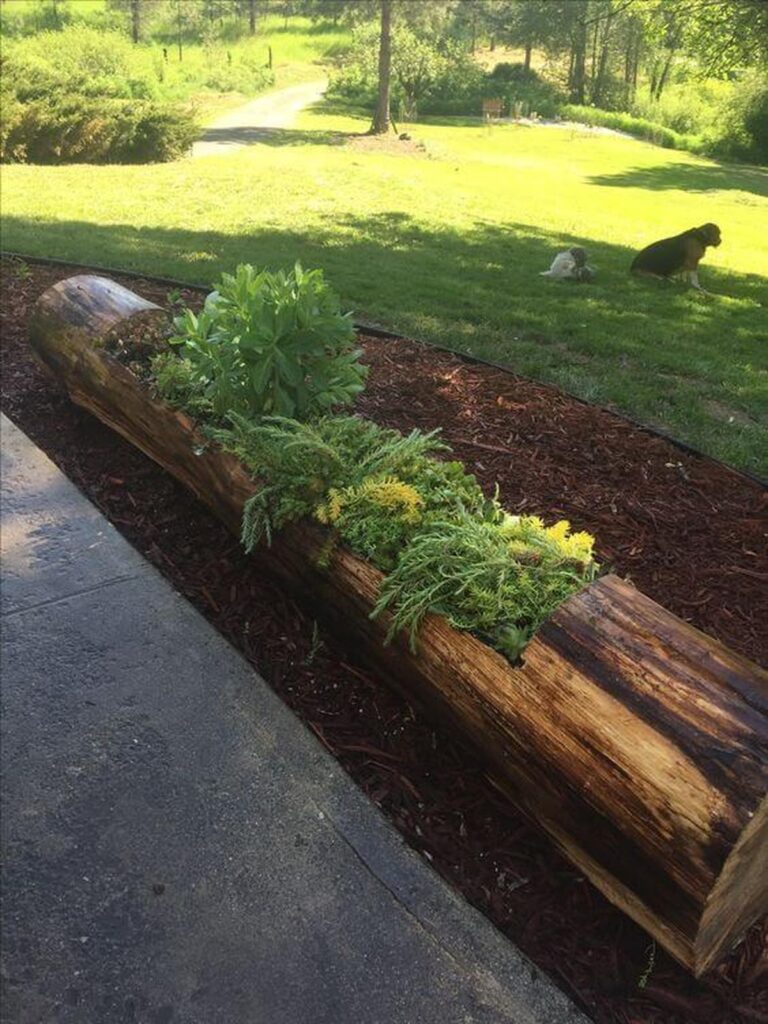 26 Fun DIY Wood Log Projects for Your Garden