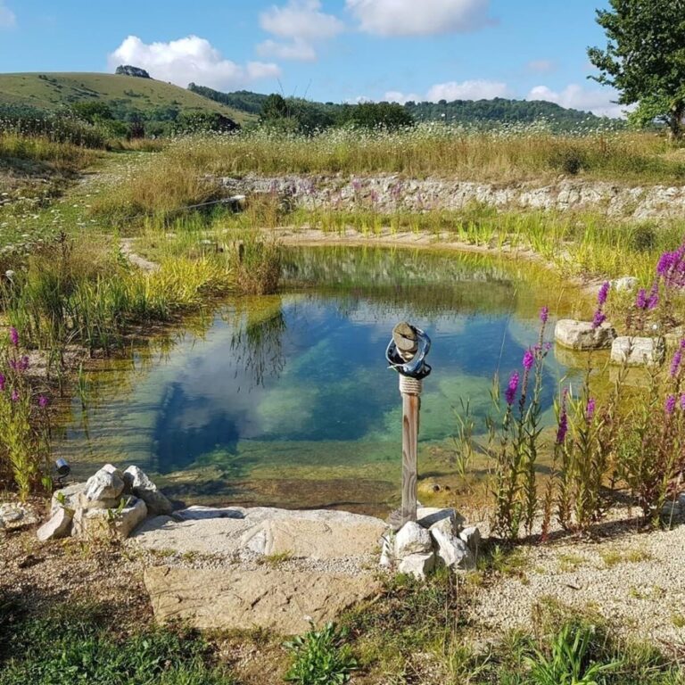24 Stunning Natural Swimming Pond Ideas for a Relaxation Oasis