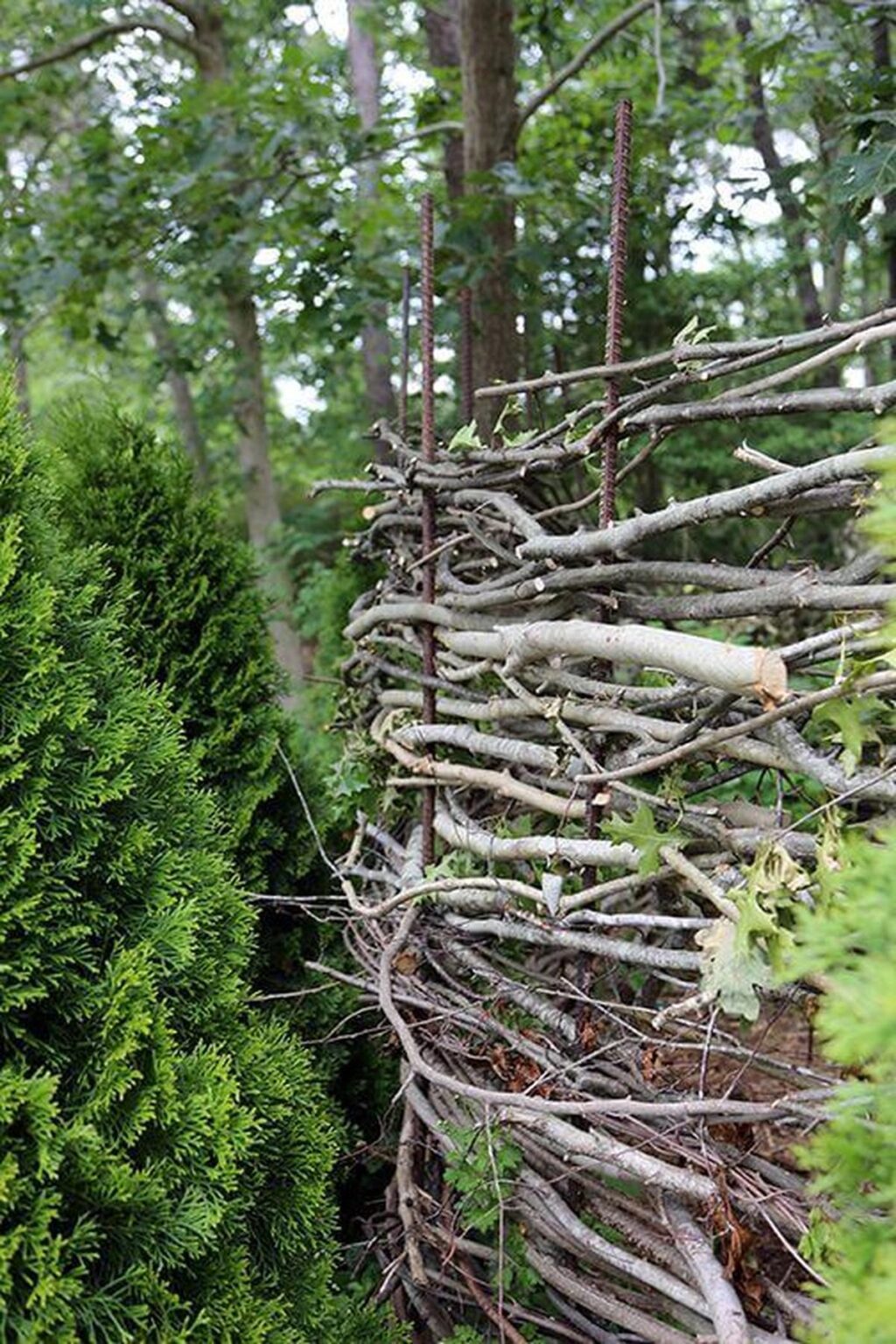 22 Best Twig Garden Projects for a Budget-Friendly Yard