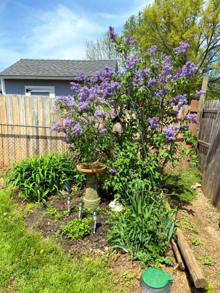 31 Beautiful Corner Garden Ideas for Small Spaces