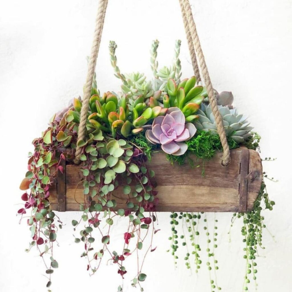 18 Creative Hanging Gardens to Brighten Any Space