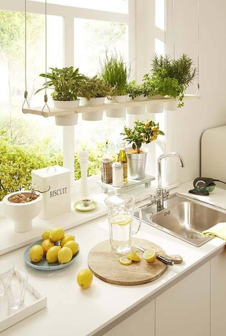 25 Brilliant Ways to Declutter Your Kitchen Countertop