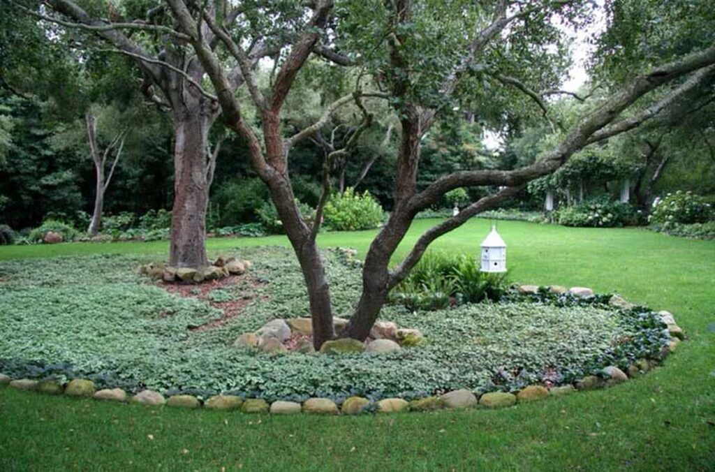 29 Stunning Tree Landscaping Ideas
