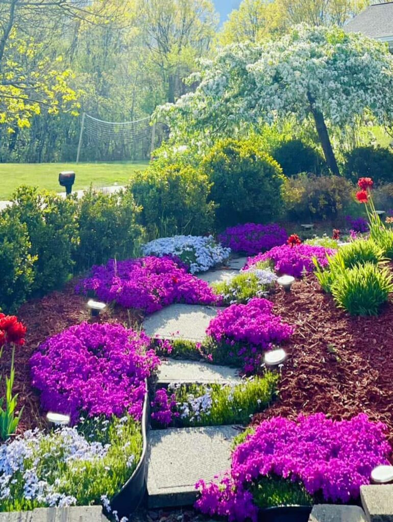 26 Simple Garden Paths to Enhance Your Outdoors
