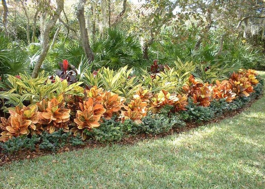 21 Dazzling Croton Landscaping Ideas for Every Garden