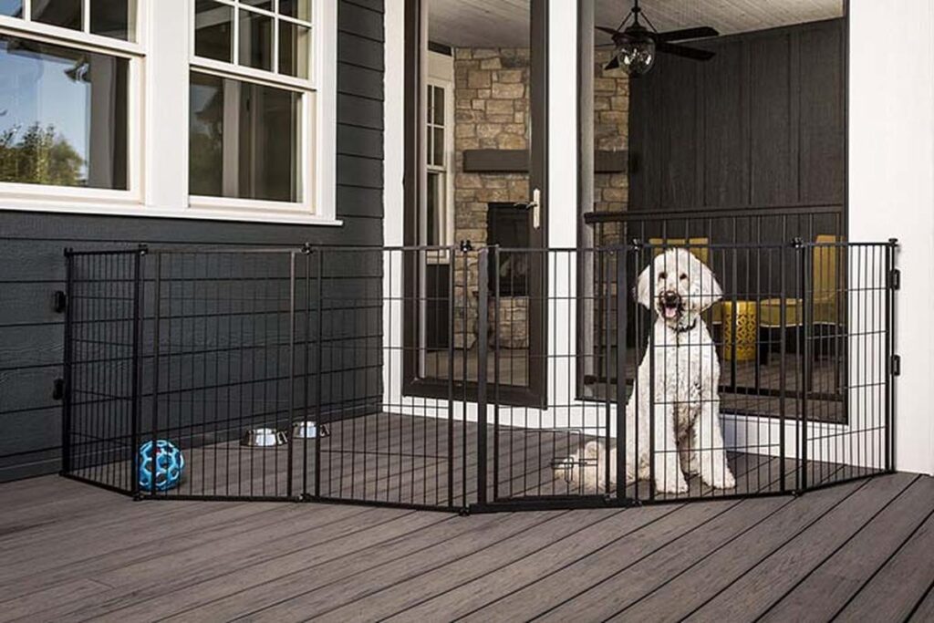 32 Inexpensive Dog Fence Ideas for Your Yard