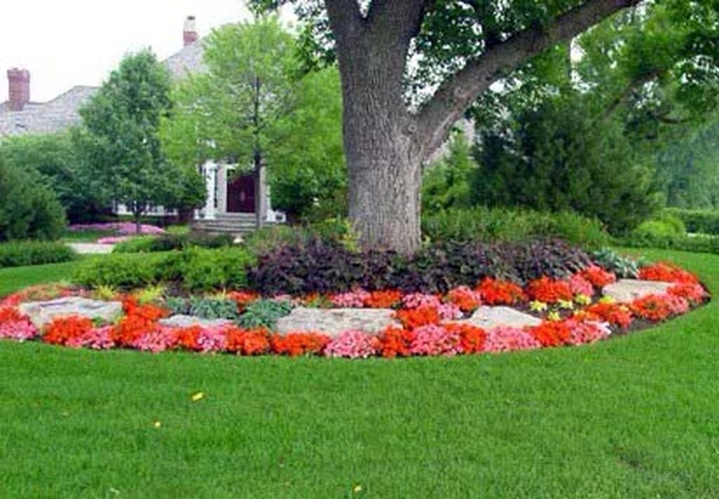 29 Stunning Tree Landscaping Ideas