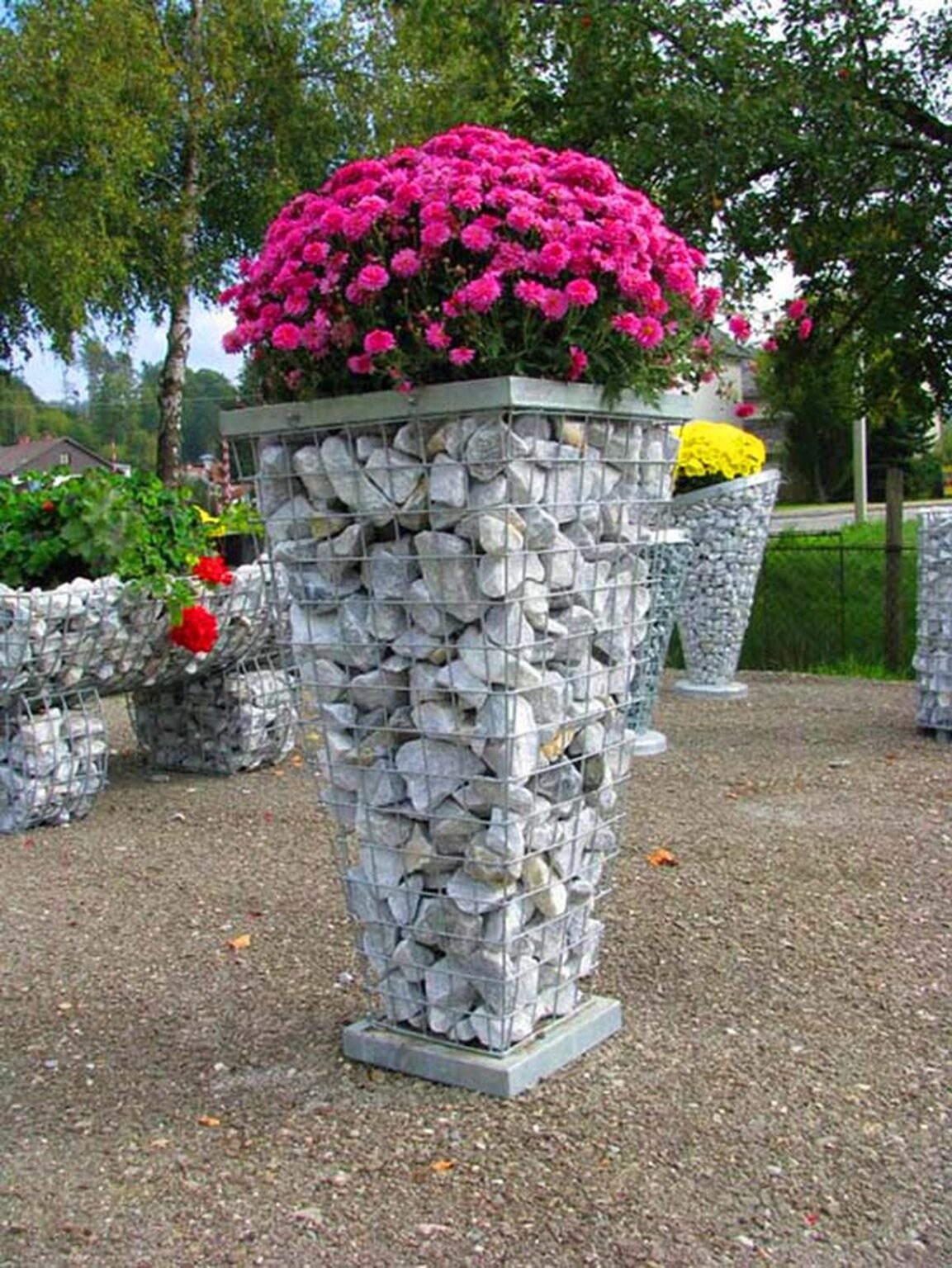 29 Best Gabion Planter Ideas for Your Garden