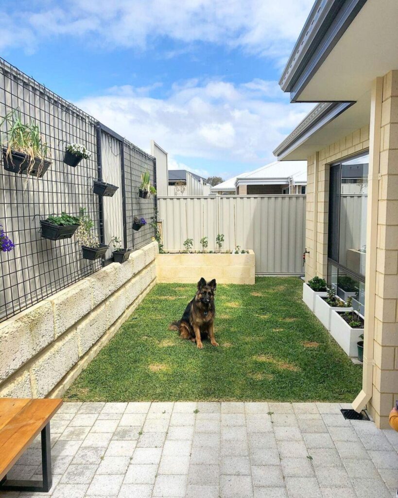 18 Best Mini Backyard Ideas for a Makeover