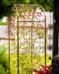 28 Inspiring DIY Trellis Ideas to Transform Your Garden
