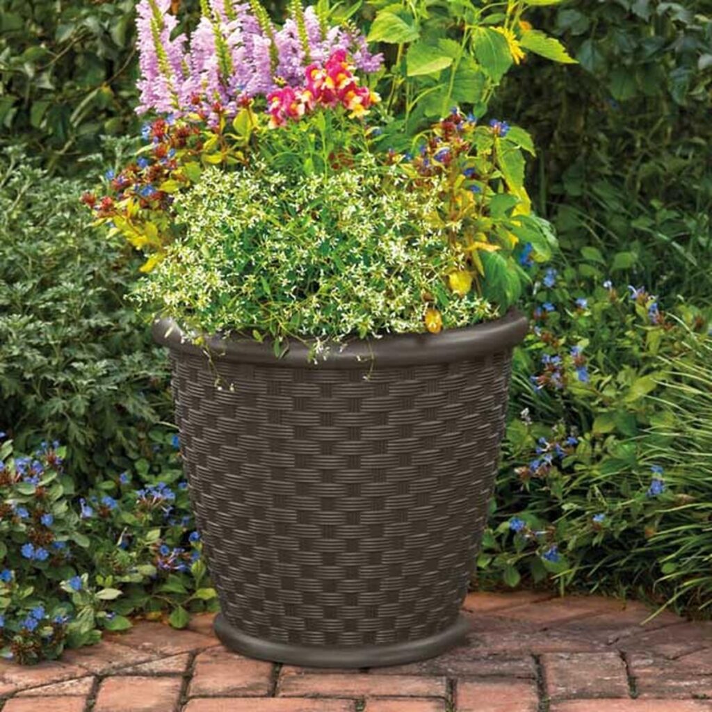 41 Creative Flower Pot Ideas for Stunning Displays